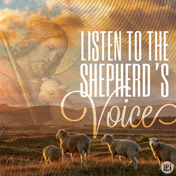Hope and Invitation a reflection for Good Shepherd Sunday