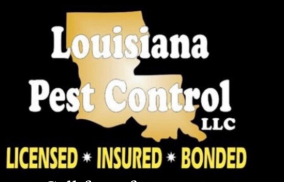 Pest Control Services | Greater New Orleans Area, LA | Louisiana Pest ...