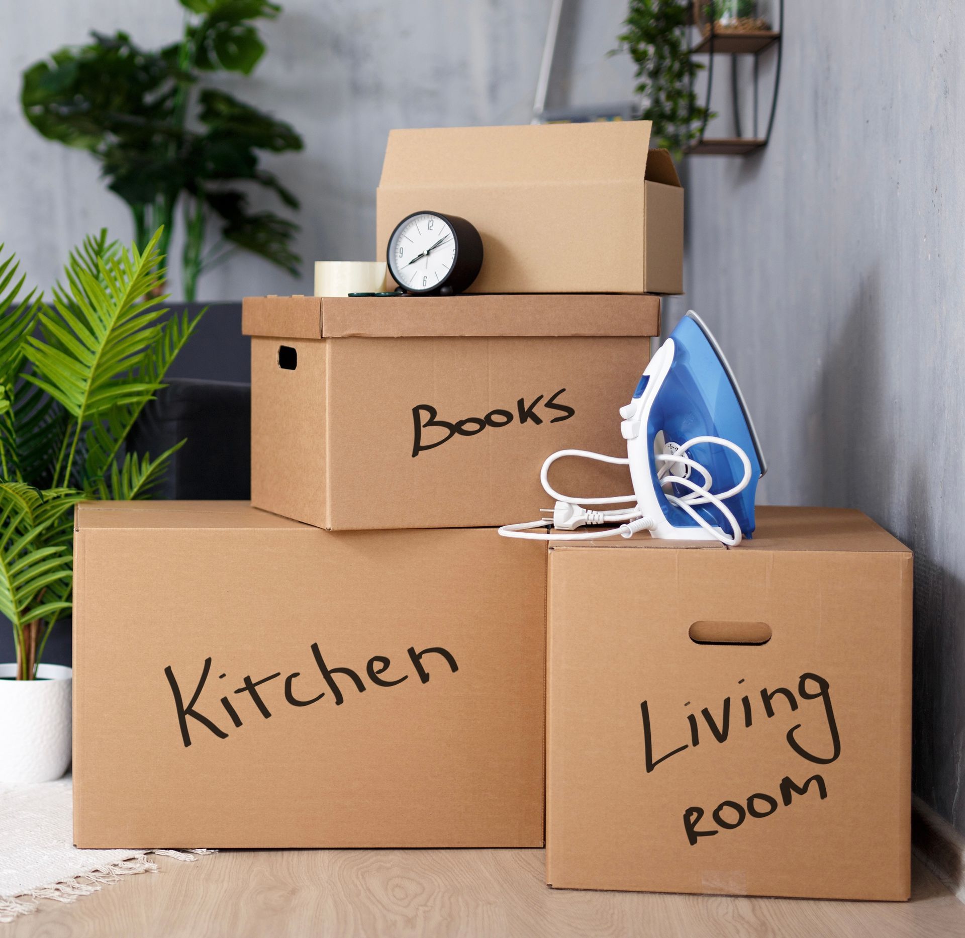 The Organised Move - Decluttering, Packing & Organising