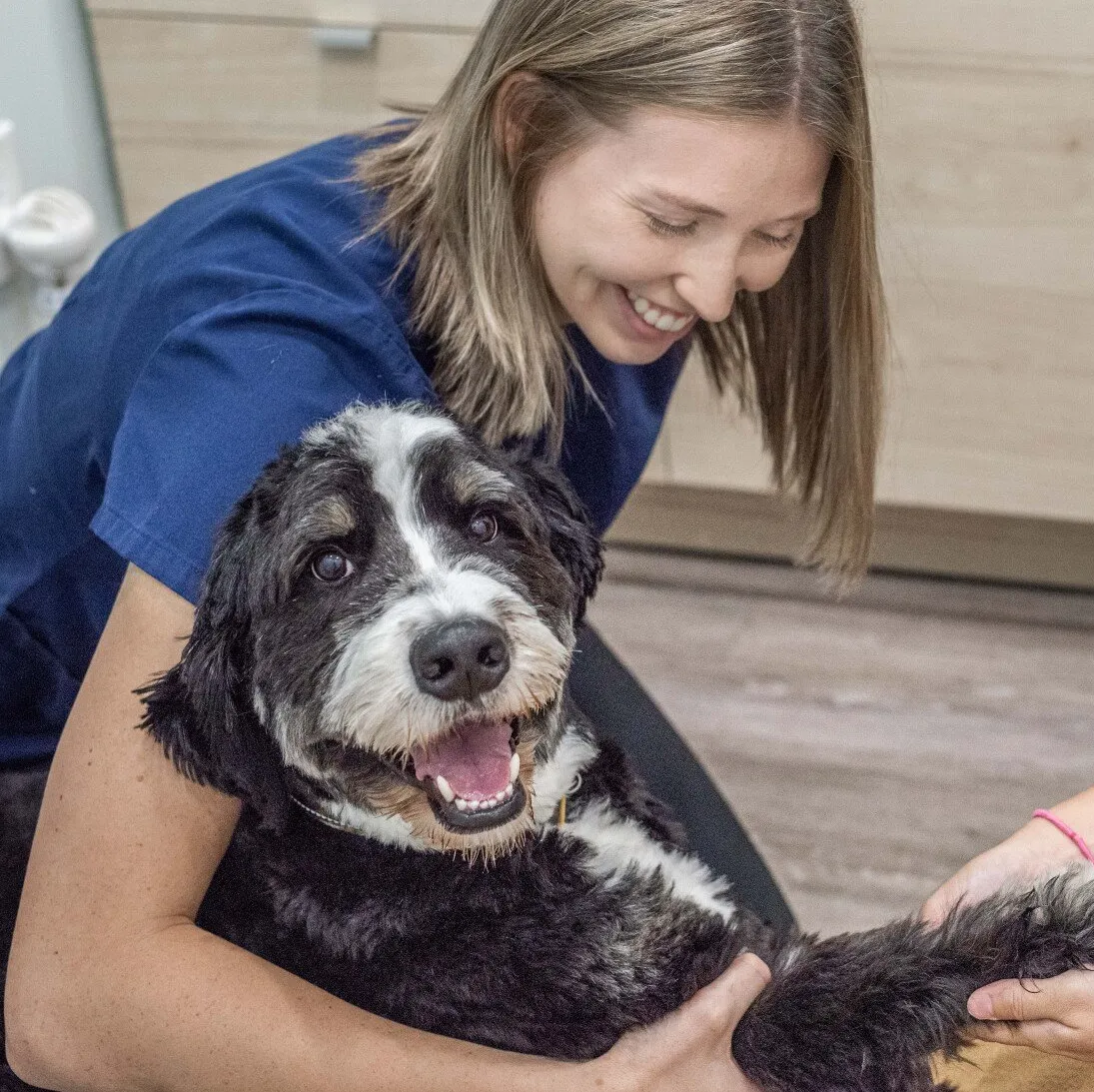 Fear Free Vet Visits | Mac Animal Clinic