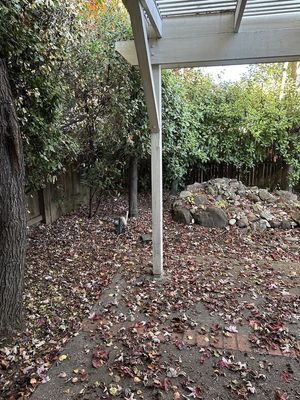 LD Tree Care - Top Rated Tree Service - Sacramento, California