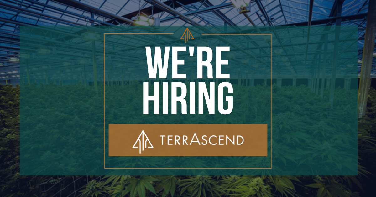 Cannabis Jobs Near Me | Cannabis Careers | TerrAscend