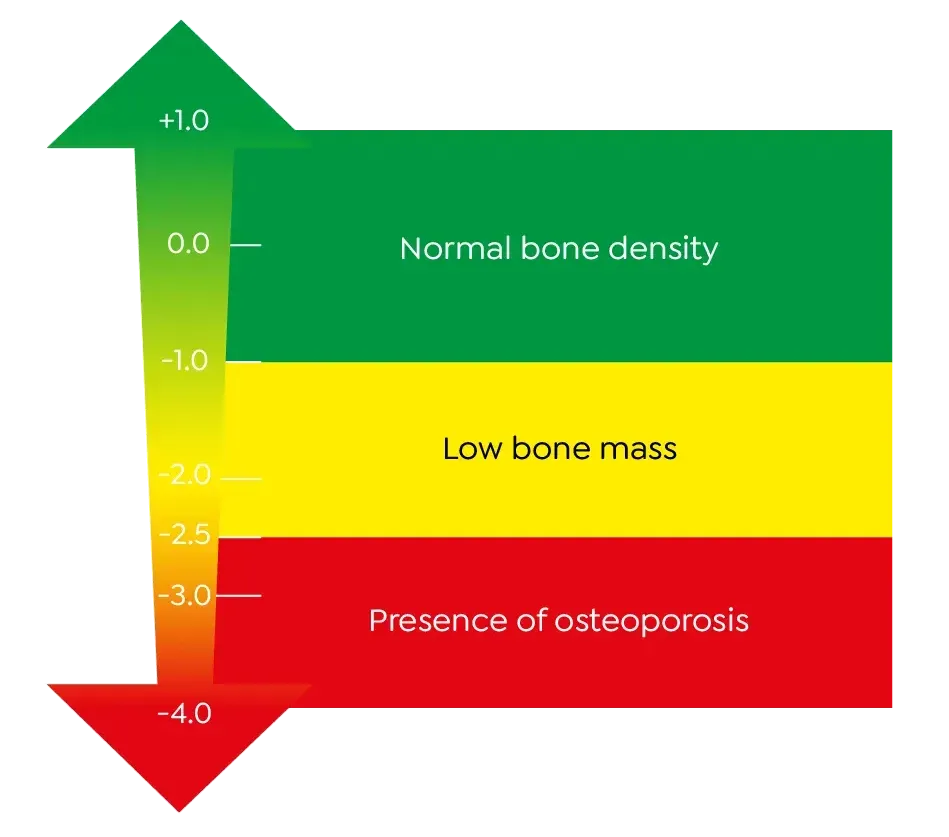 MSK Solutions | Performance Health Systems