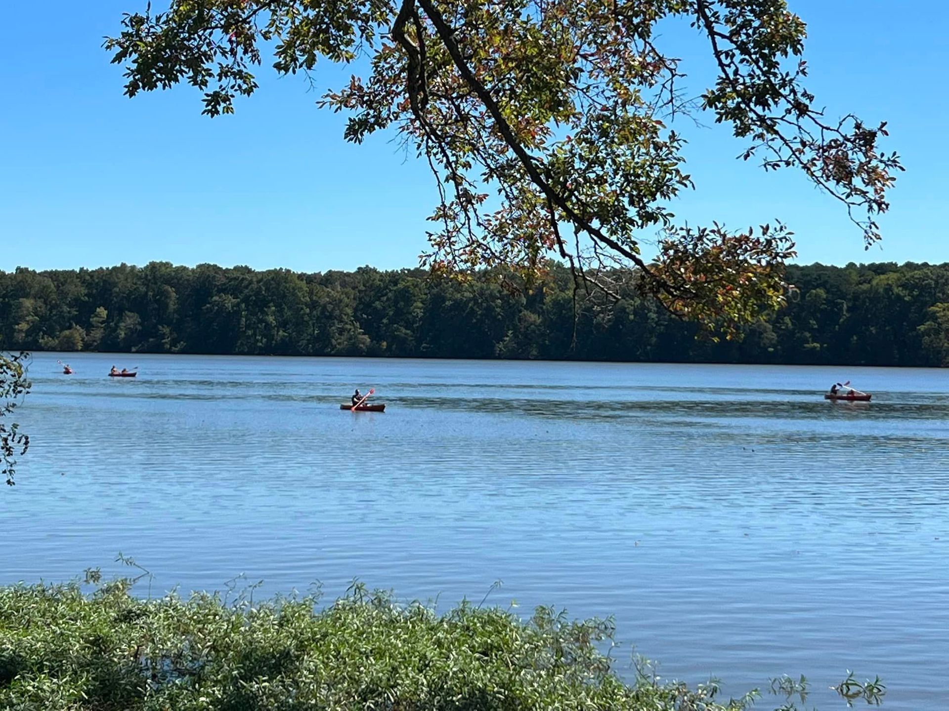 Discover the Great Outdoors at NATR Fest 2023 at Point Mallard Park!