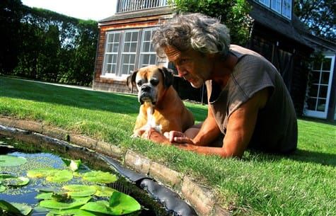 Boxer Dog Degenerative Myelopathy