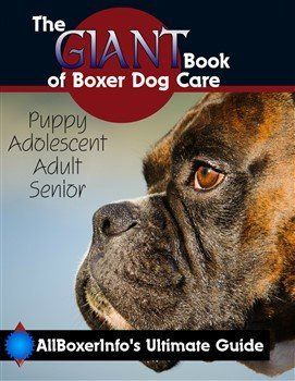 The GIANT Book of Boxer Care