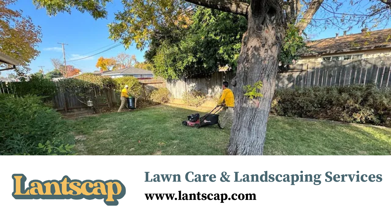 Professional Landscaping Roseville CA, Best Lawn Care