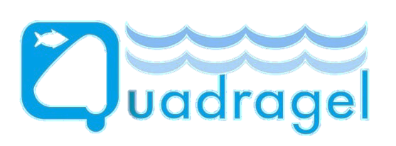 Quadragel - Congelados