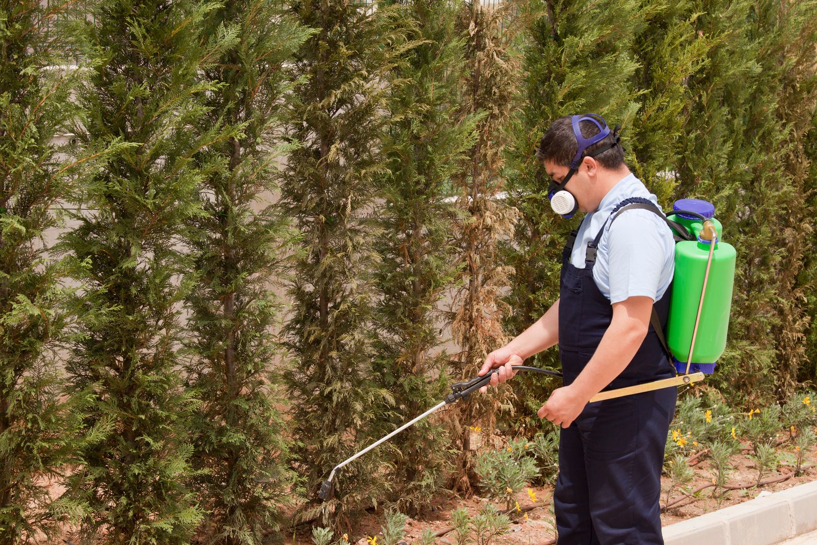 Midwest Bug Busters LLC - Top Rated Pest Control Service - Fond du Lac ...