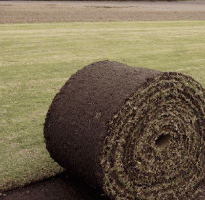 Suncoast Sod Farms Inc. | Pensacola, FL | Sod Delivery & Installation