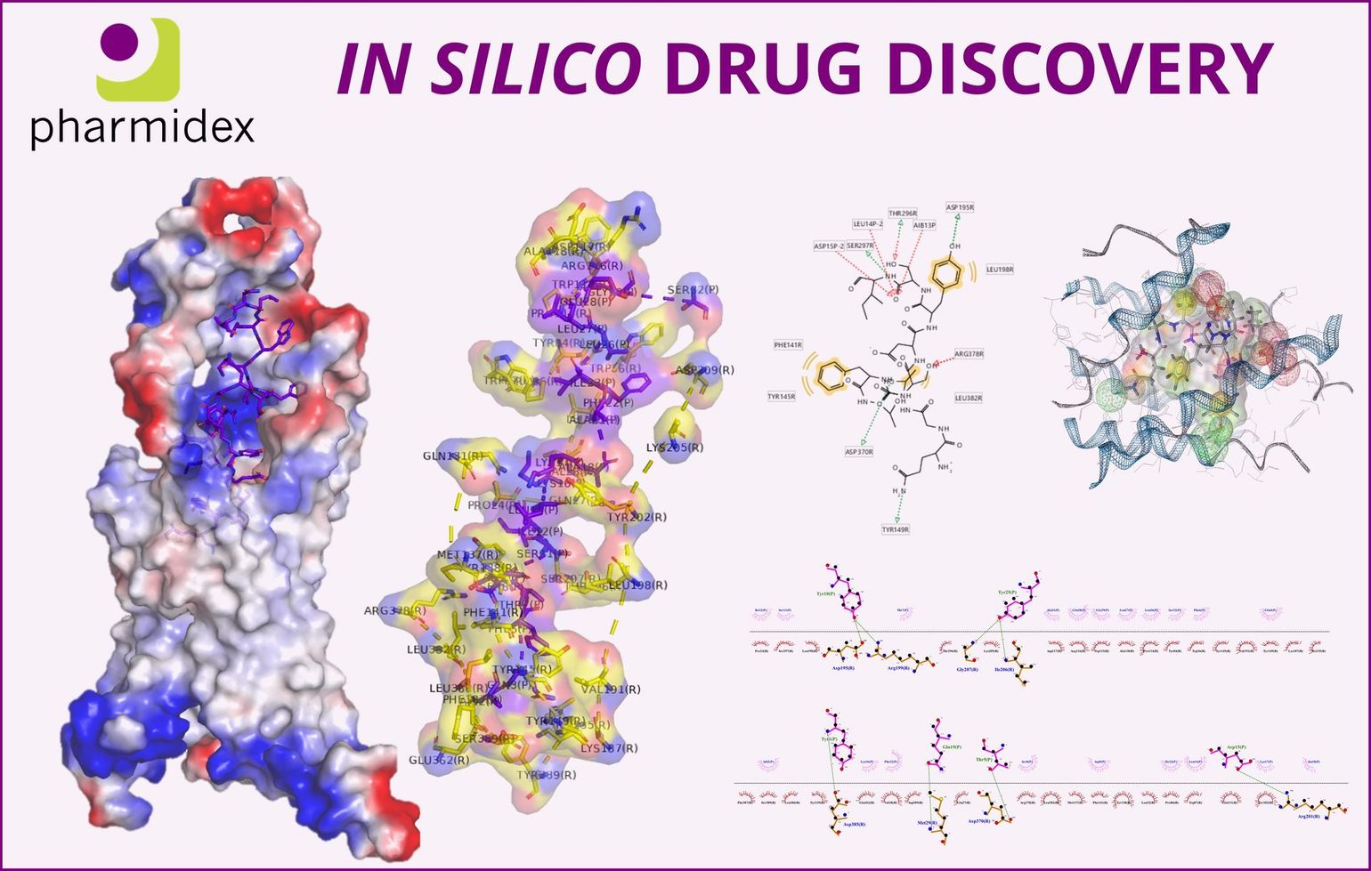 Drug Discovery Services | London - Pharmidex