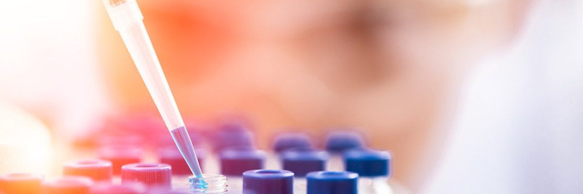 In Vitro ADMET | Drug Development | Pharmidex