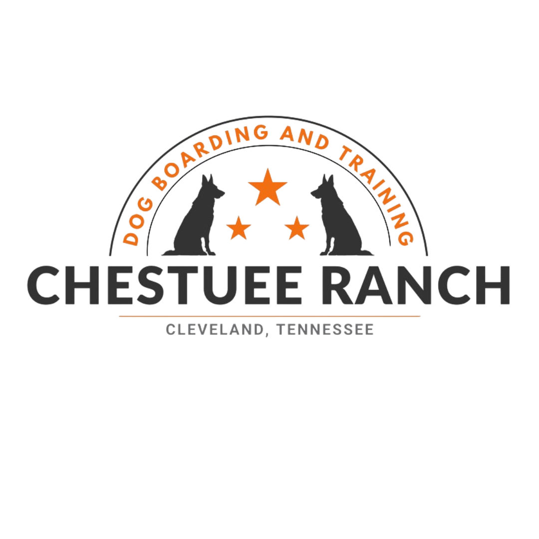Chestuee Ranch Boarding and Training | Our Story