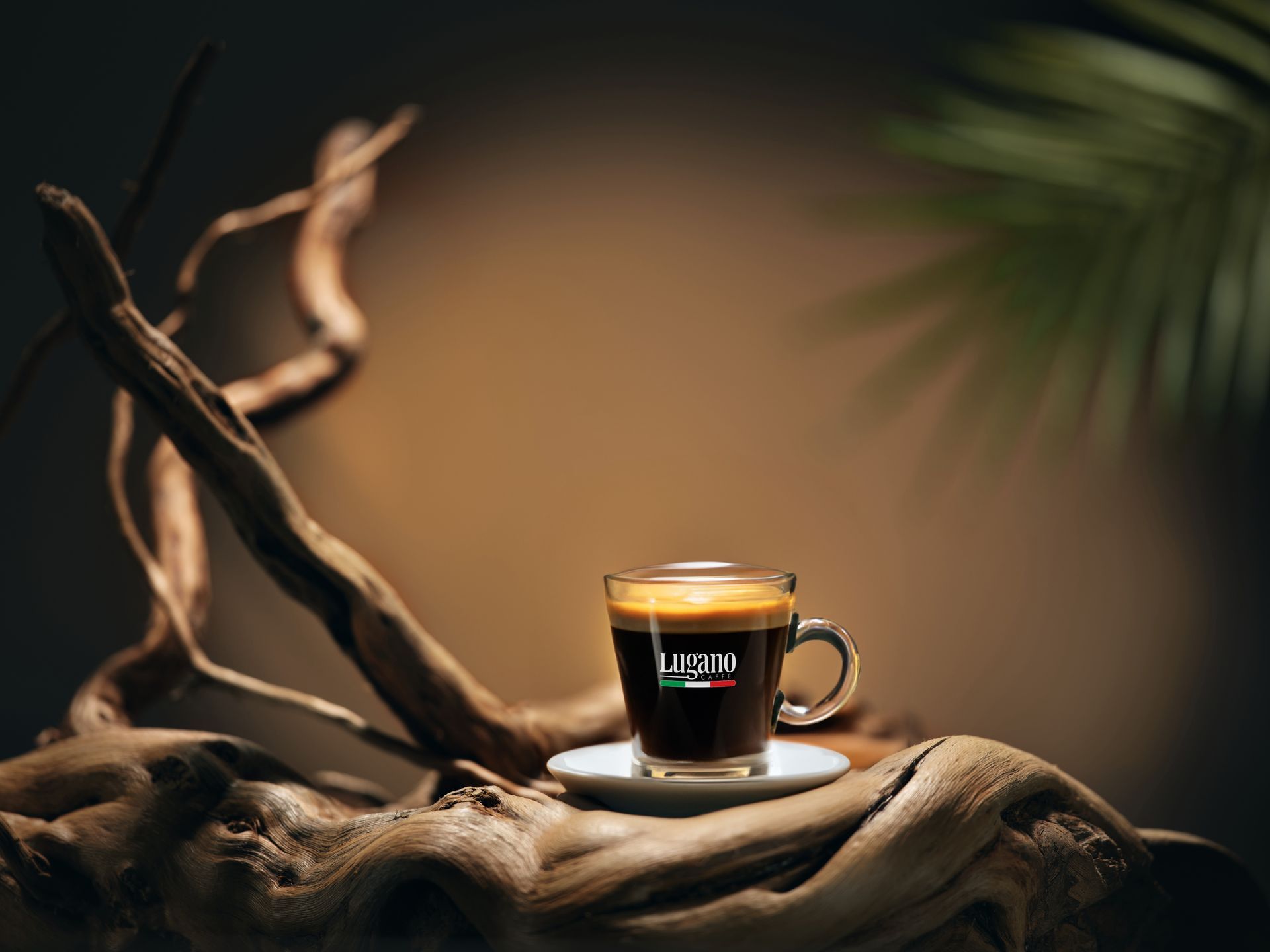 About Us - Lugano Caffè