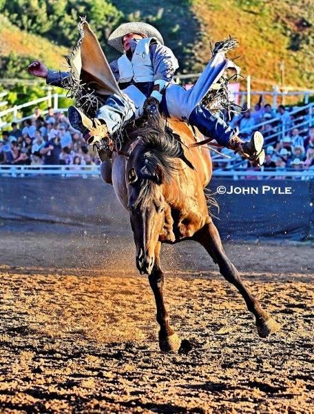 Home [www.morgancountyfair.org]