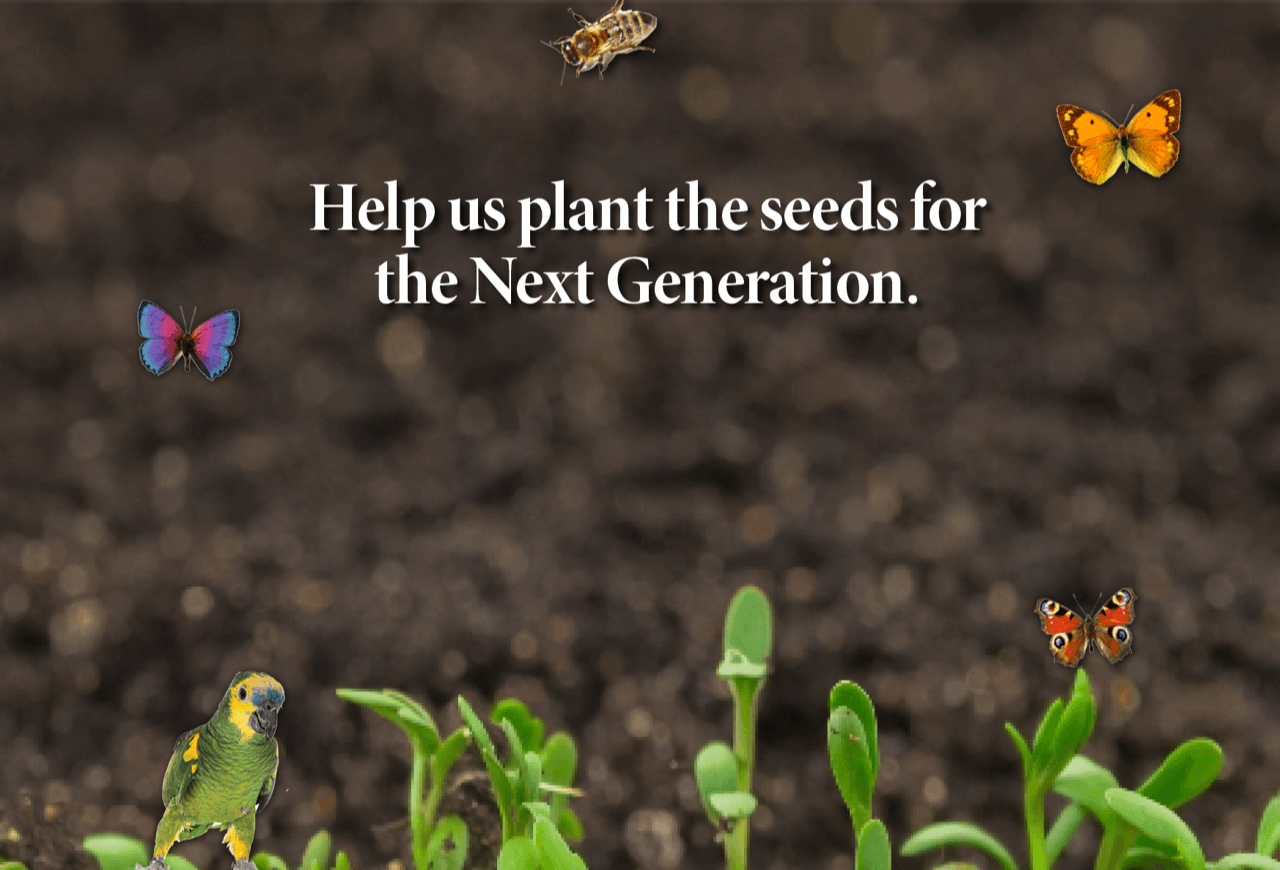 The Nature Generation