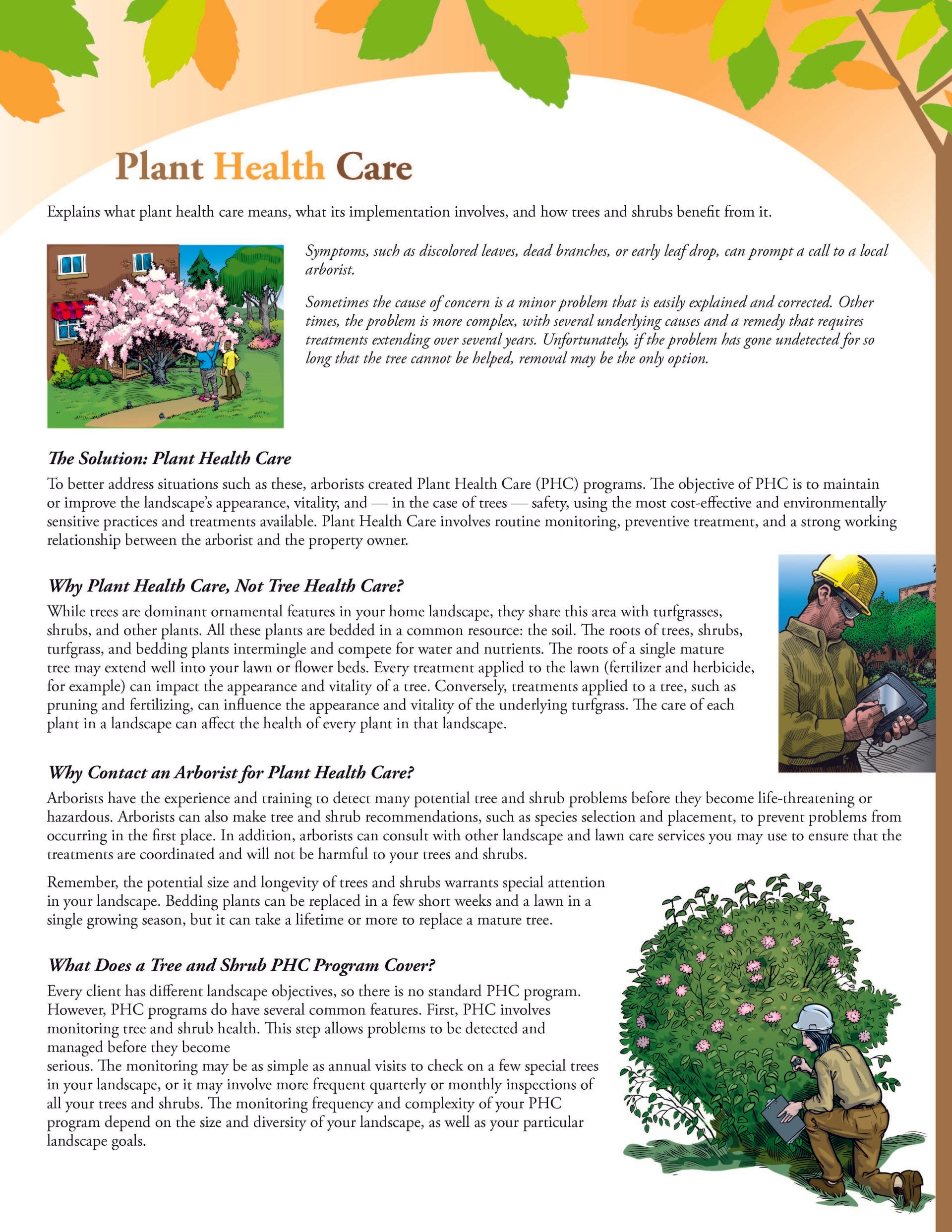 Plant Health Care | Kingston, NY | Roots Up Plant Health Inc.