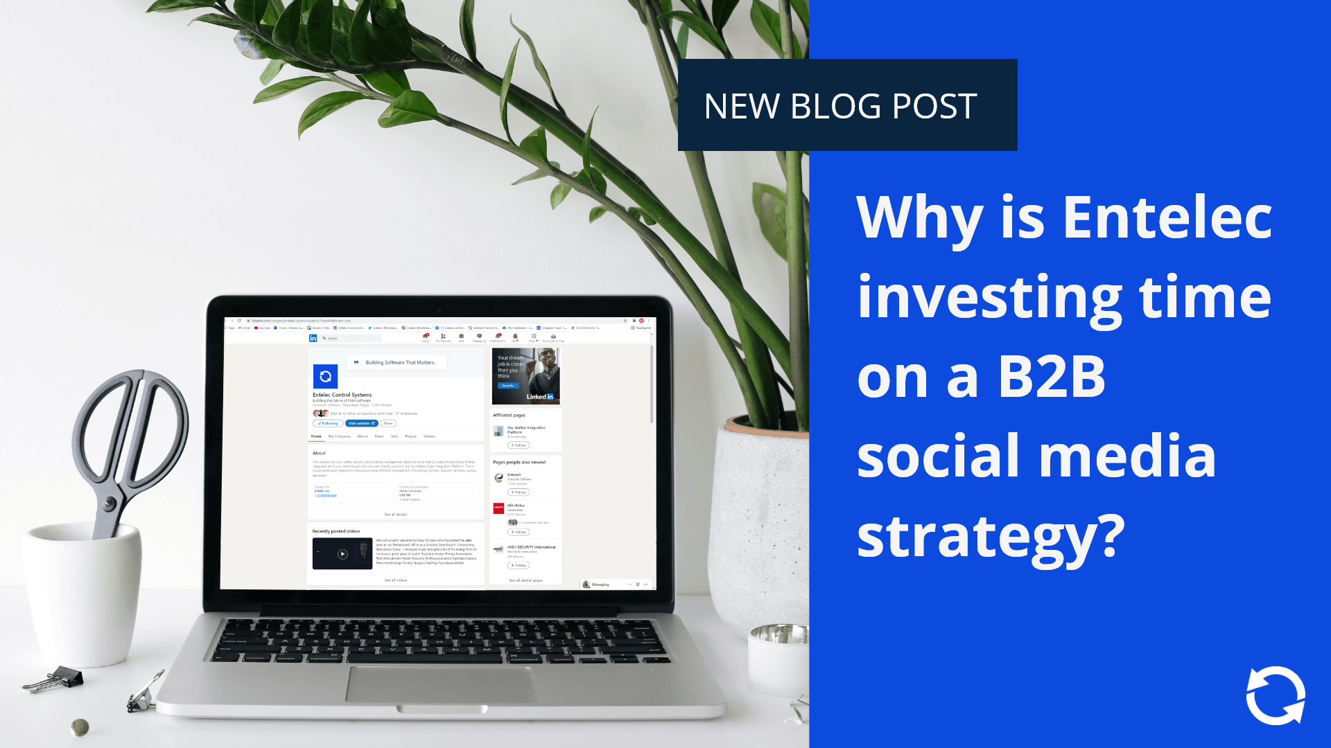 Why is Entelec investing time on a B2B social media strategy?