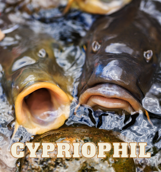 BIOSOURCE BAITS • Scientifically Designed and Proven Fish Feeding ...