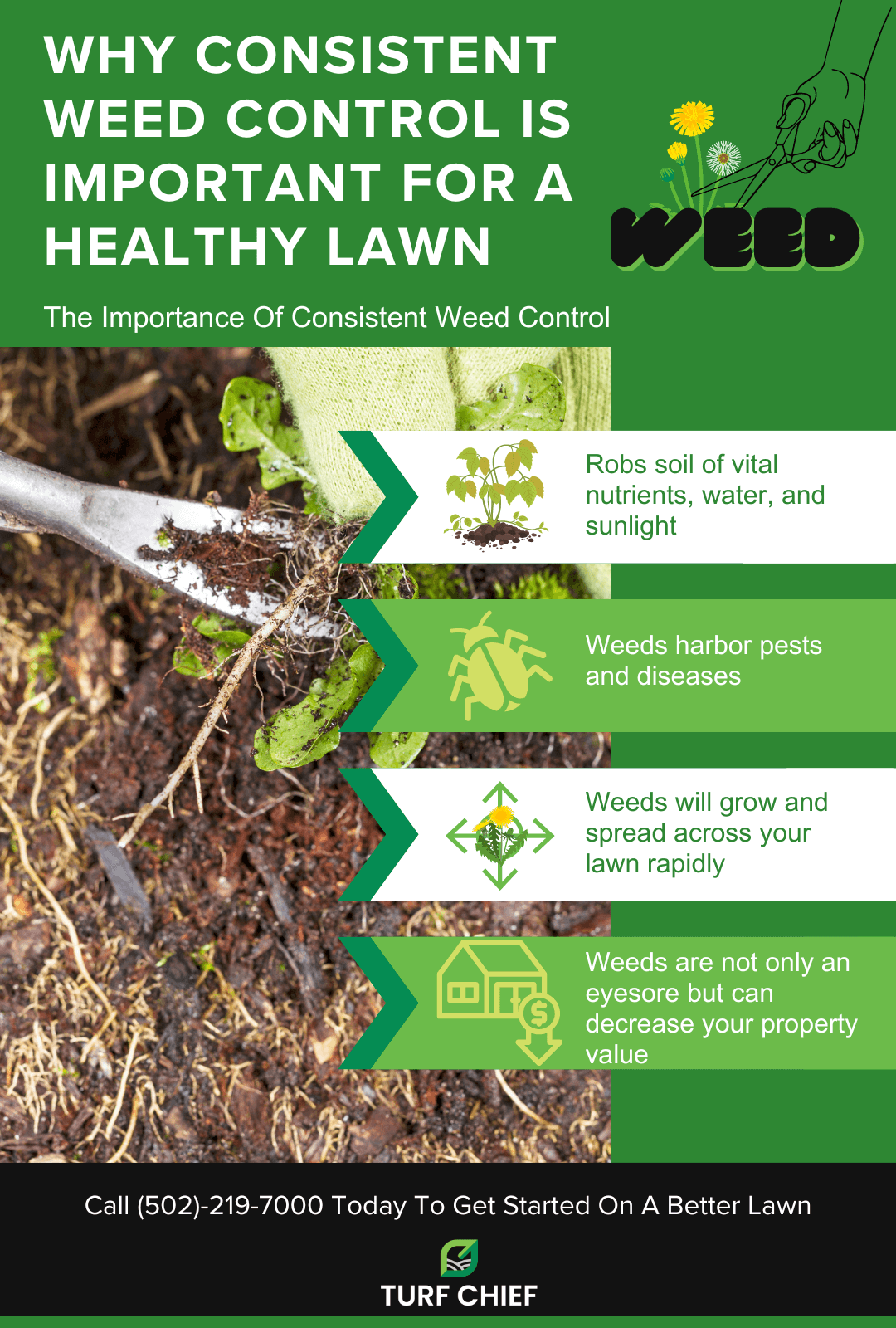 WHY CONSISTENT WEED CONTROL IS IMPORTANT FOR A HEALTHY LAWN