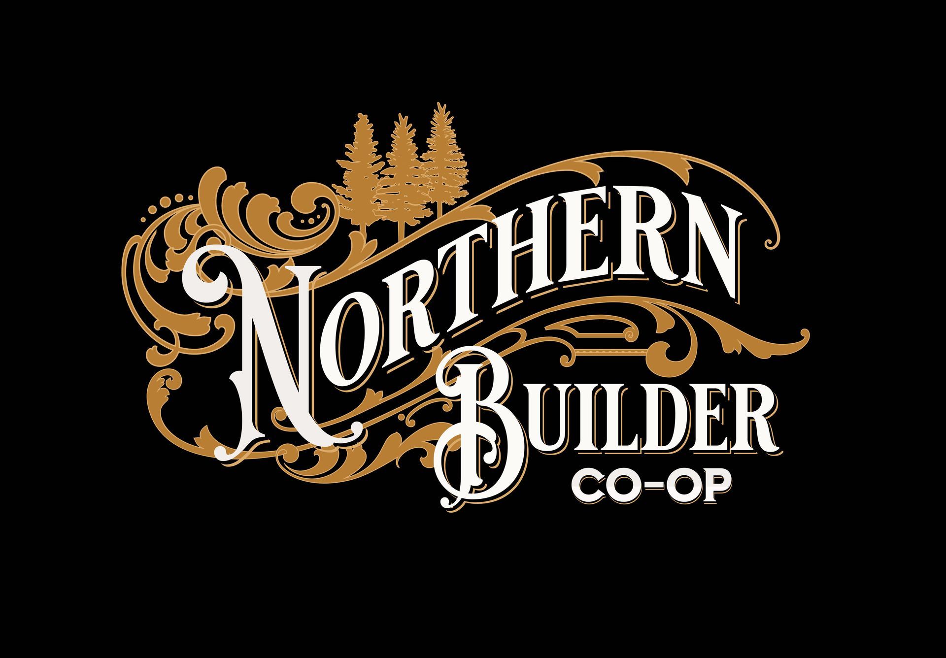 Northern Builder Co-op LLC | Twin Cities, MN