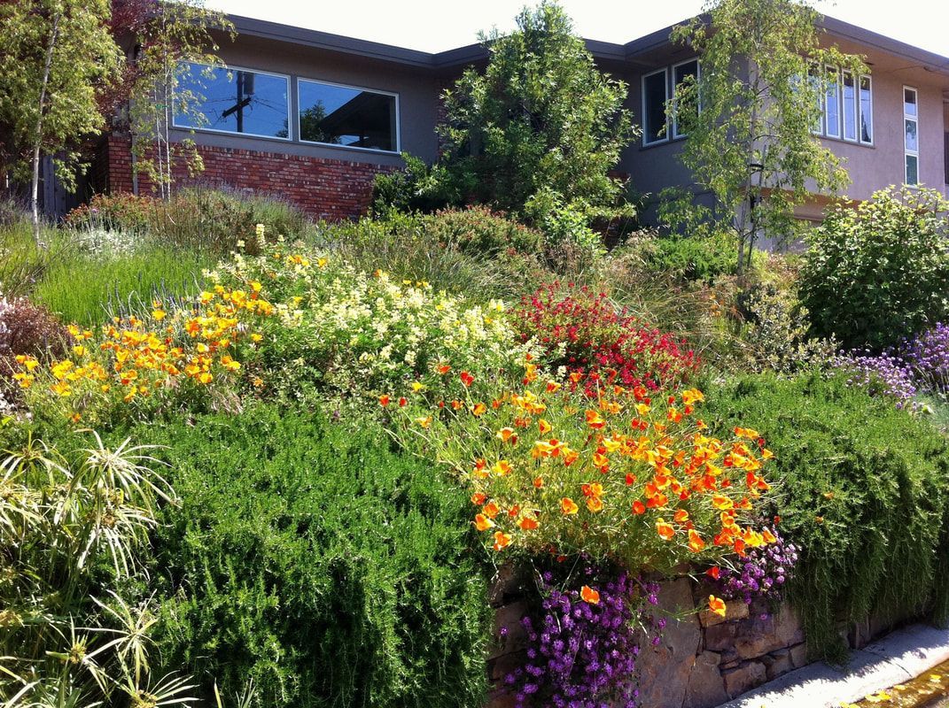Collaborate with Nature: Design the Way Nature Designs
