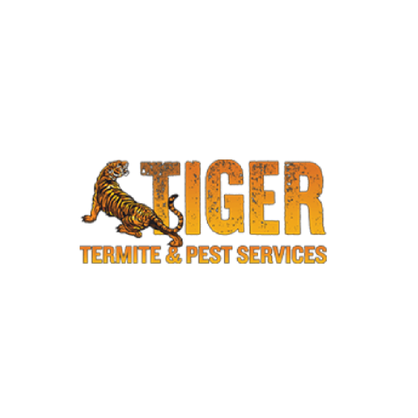 Subterranean Termite Control: Port Orange, FL | Tiger Termite and Pest