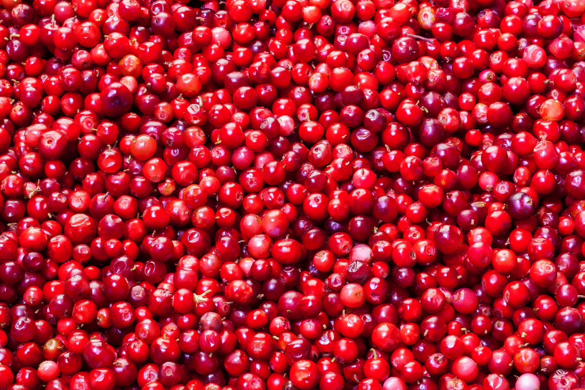 Seasonal Produce Guide