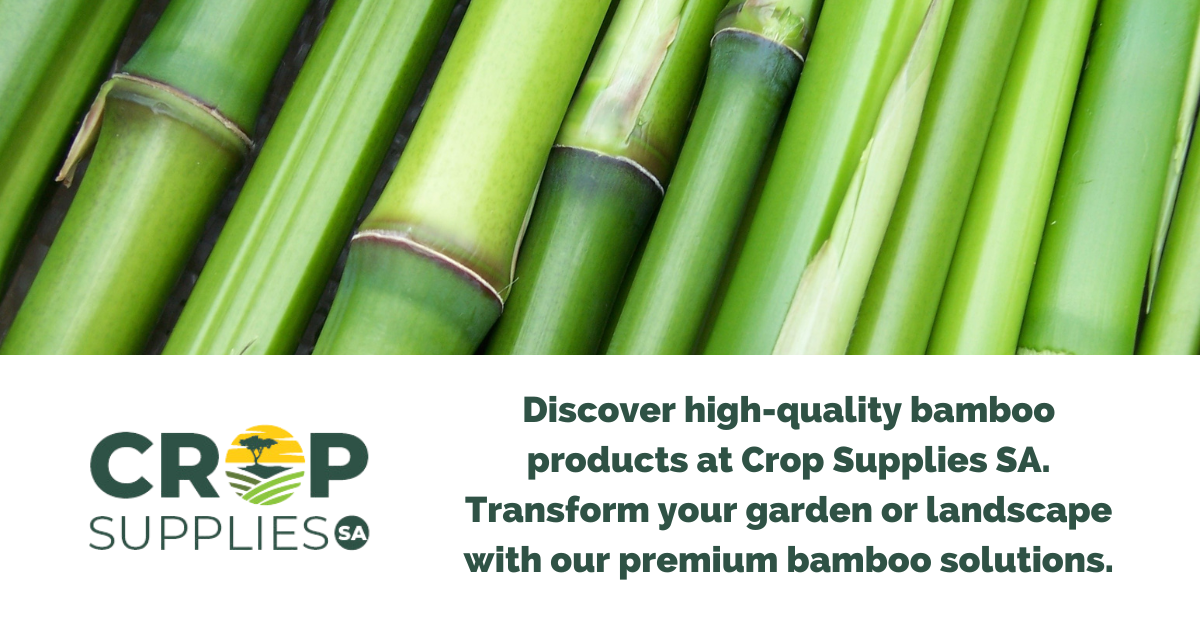 Bamboo Near Krugersdorp North - Explore Crop Supplies!