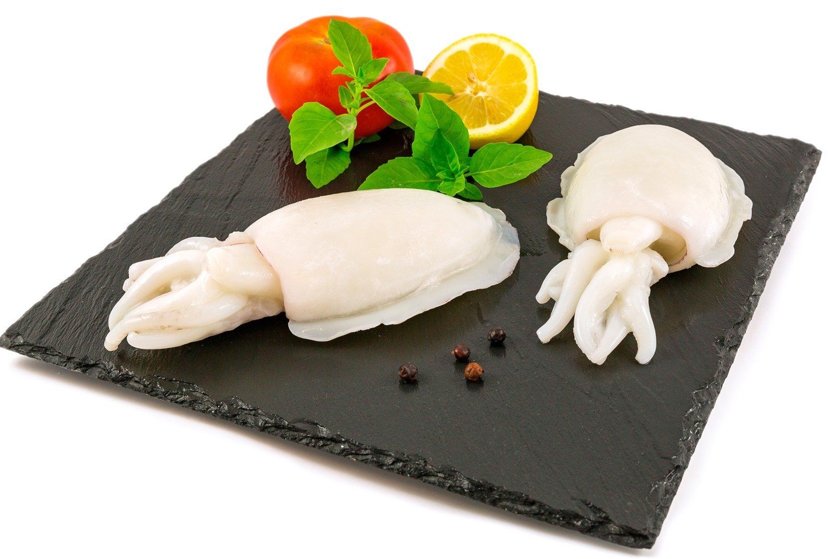 MAG SEAFOOD - Produits de la mer congelés