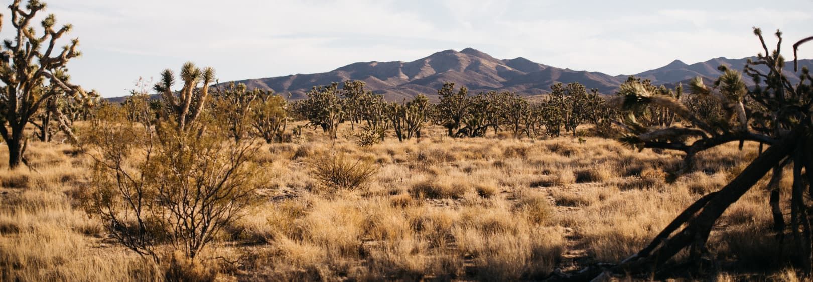 CLiF Notes: April Edition