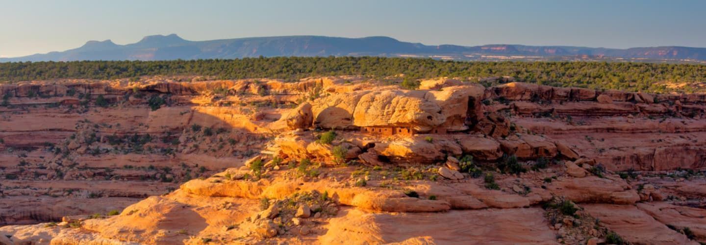 Community Conversation: A Journey with QT Luong through America's ...