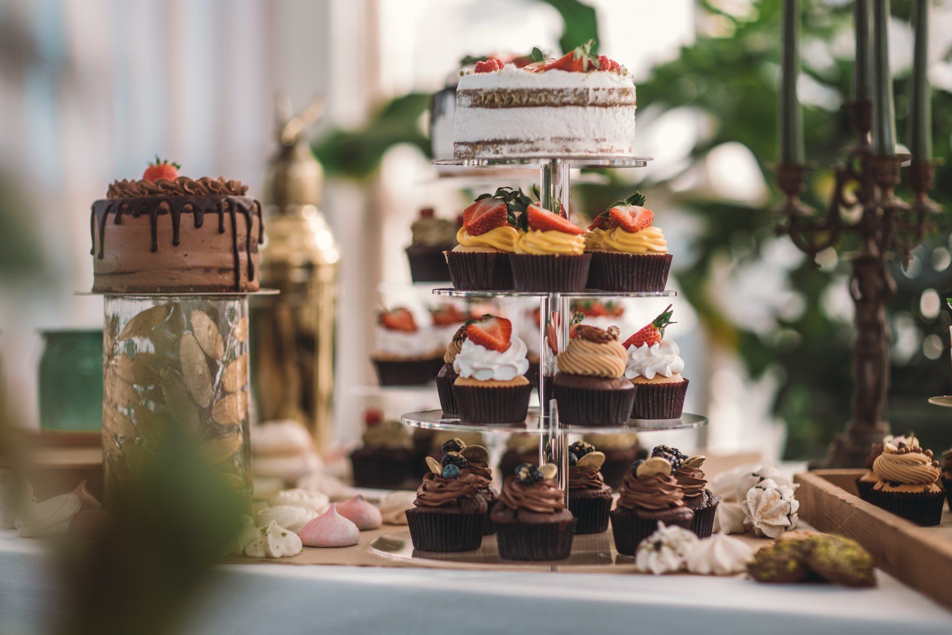 Cupcakes e Muffin | Torino | Tauer Bakery