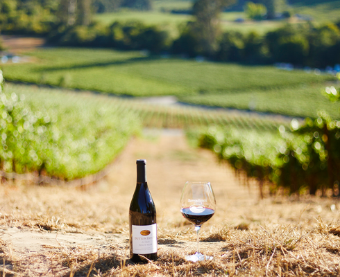 Dutton Estate Winery | Authentic Sonoma County Wines and Cider