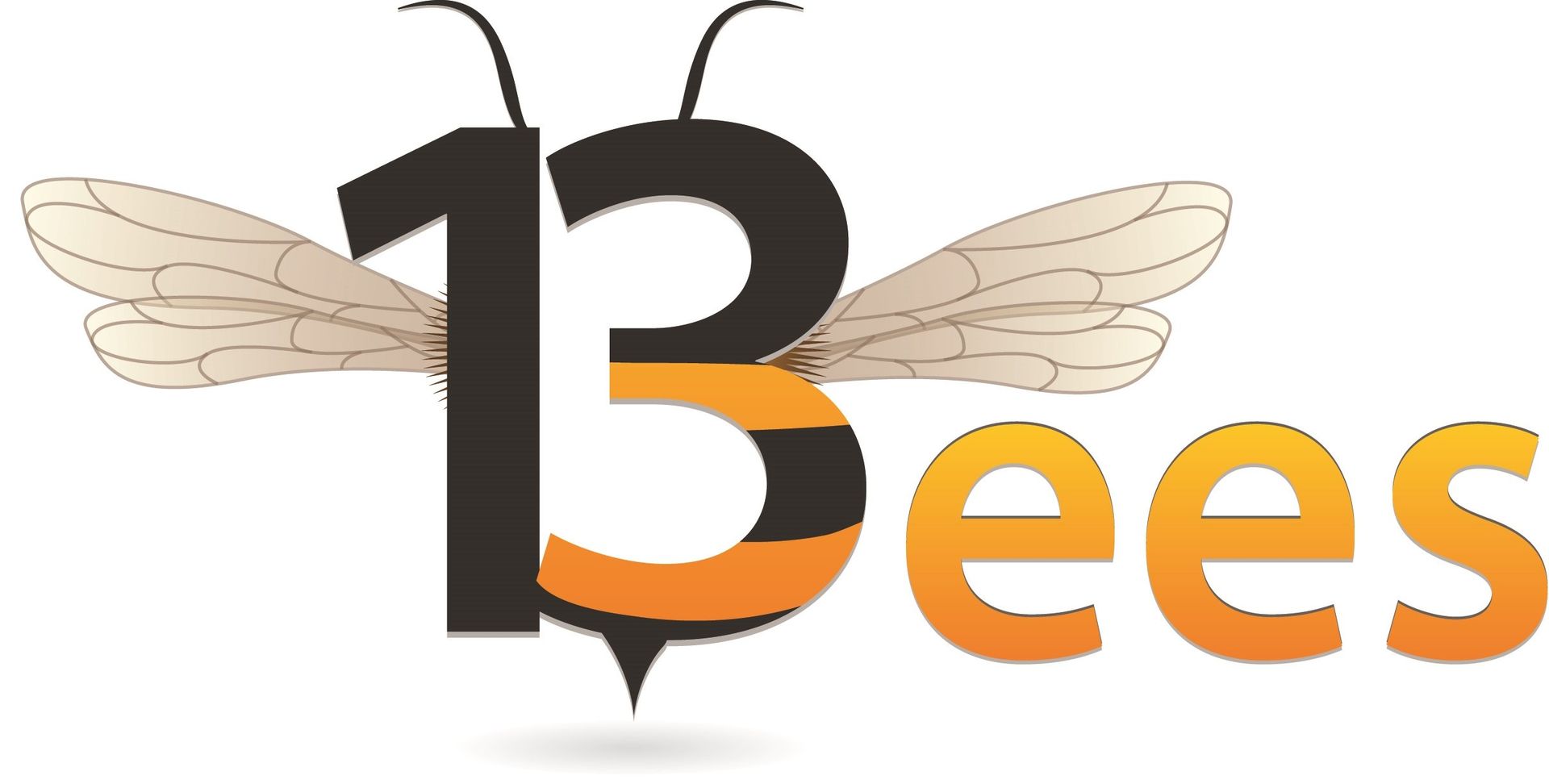 13 Bees beekeeping experiences and beekeeping holidays