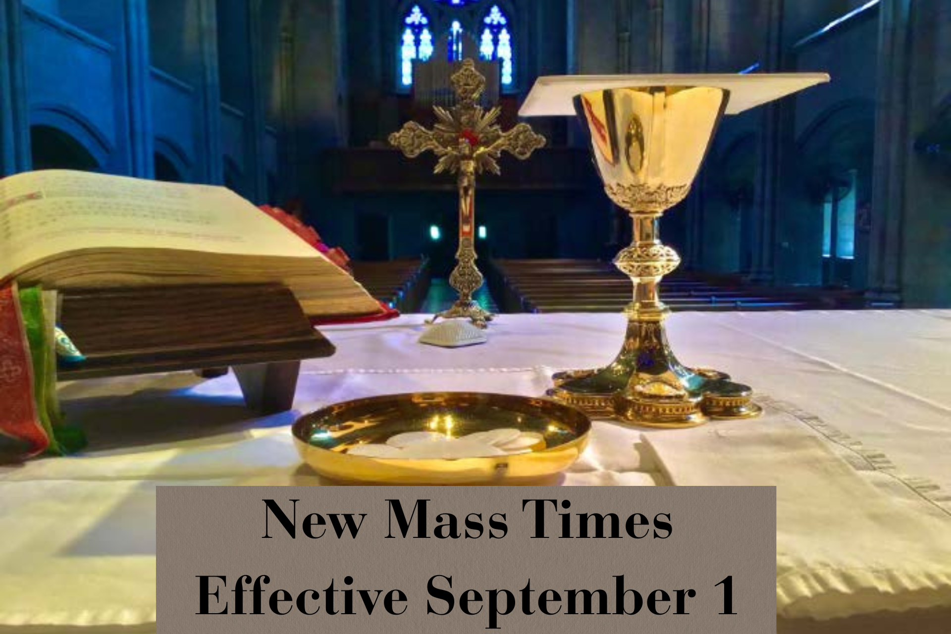 Home [www.stmmp.org]