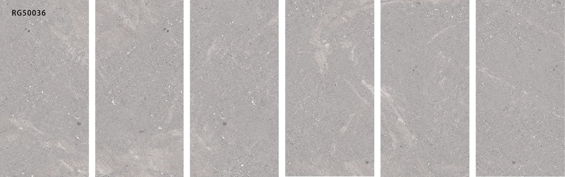 Fossil Grey 600mmx1200mm - 50036
