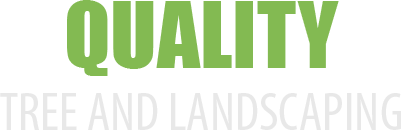 Tree & Lawn Care | Lake Elmo, MN | Quality Tree & Landscaping