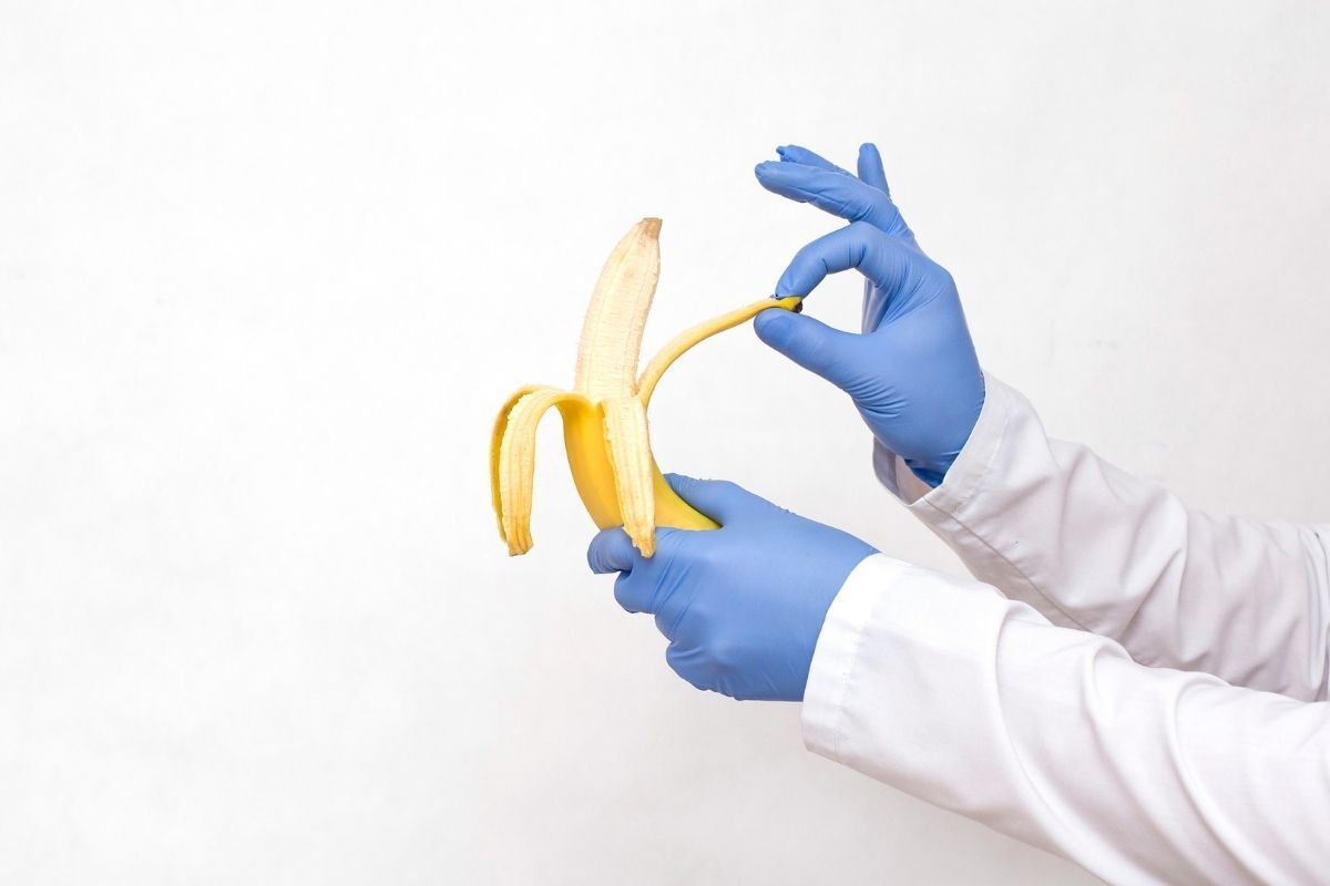 Postectomia - Cirurgia Fimose - Teresina