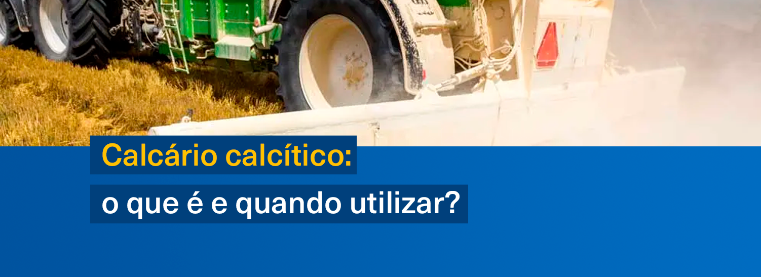 Calcário calcítico: o que é e quando utilizar?