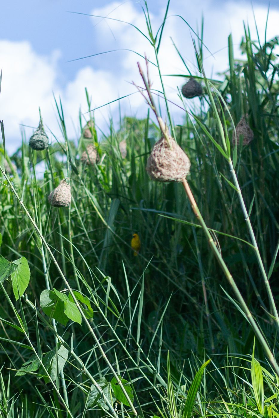 Ndau Lodge | Your Perfect Getaway in Chikale, Malawi