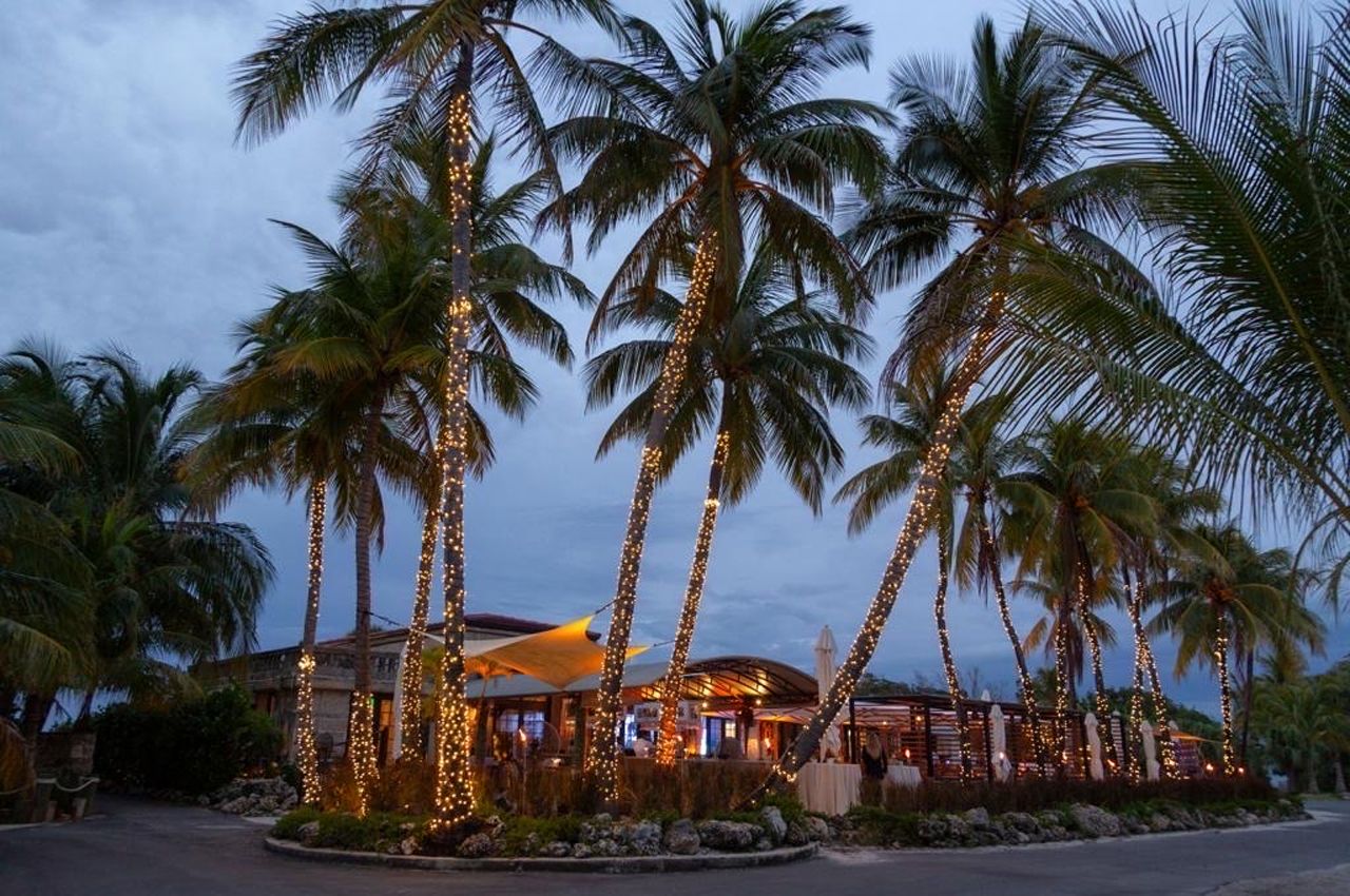 Seafood Restaurant | NOMA Beach | Coral Gables, FL