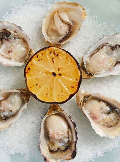 Home - NOMA Beach at Redfish