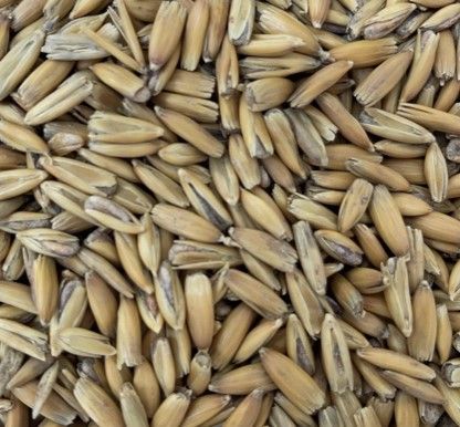 Gladfield Oat Malt Range