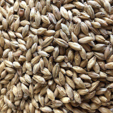 Explore Gladfields' Range of Fresh Base Malts