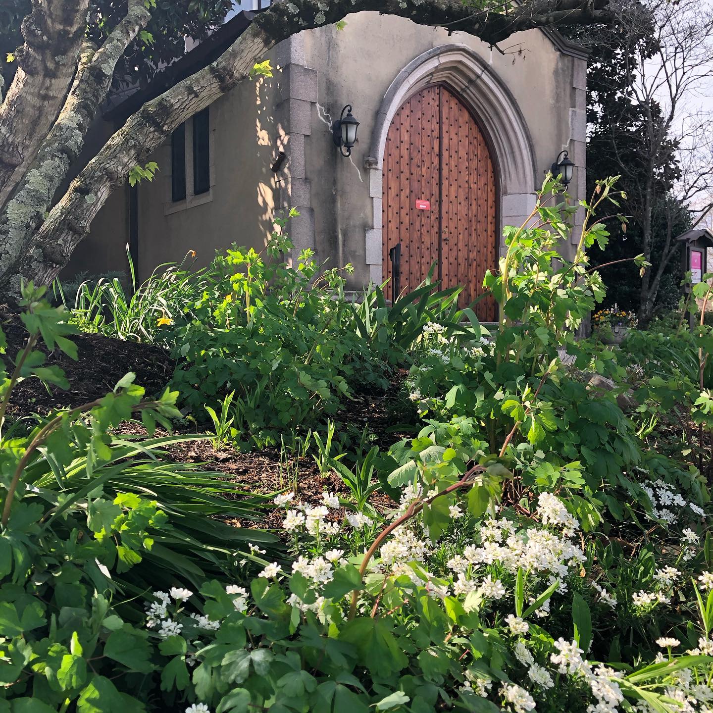 Episcopal Church Community Engagement | St. James Episcopal Church ...