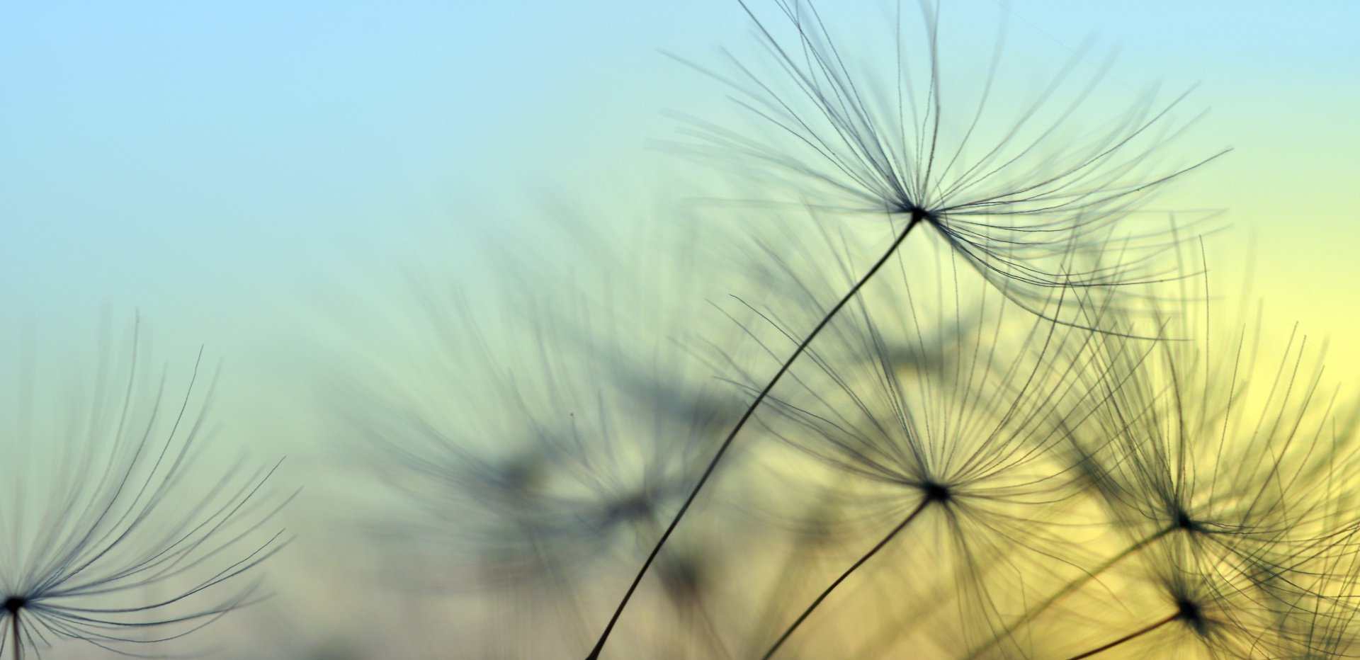 Grof breathwork with Edward Sellman