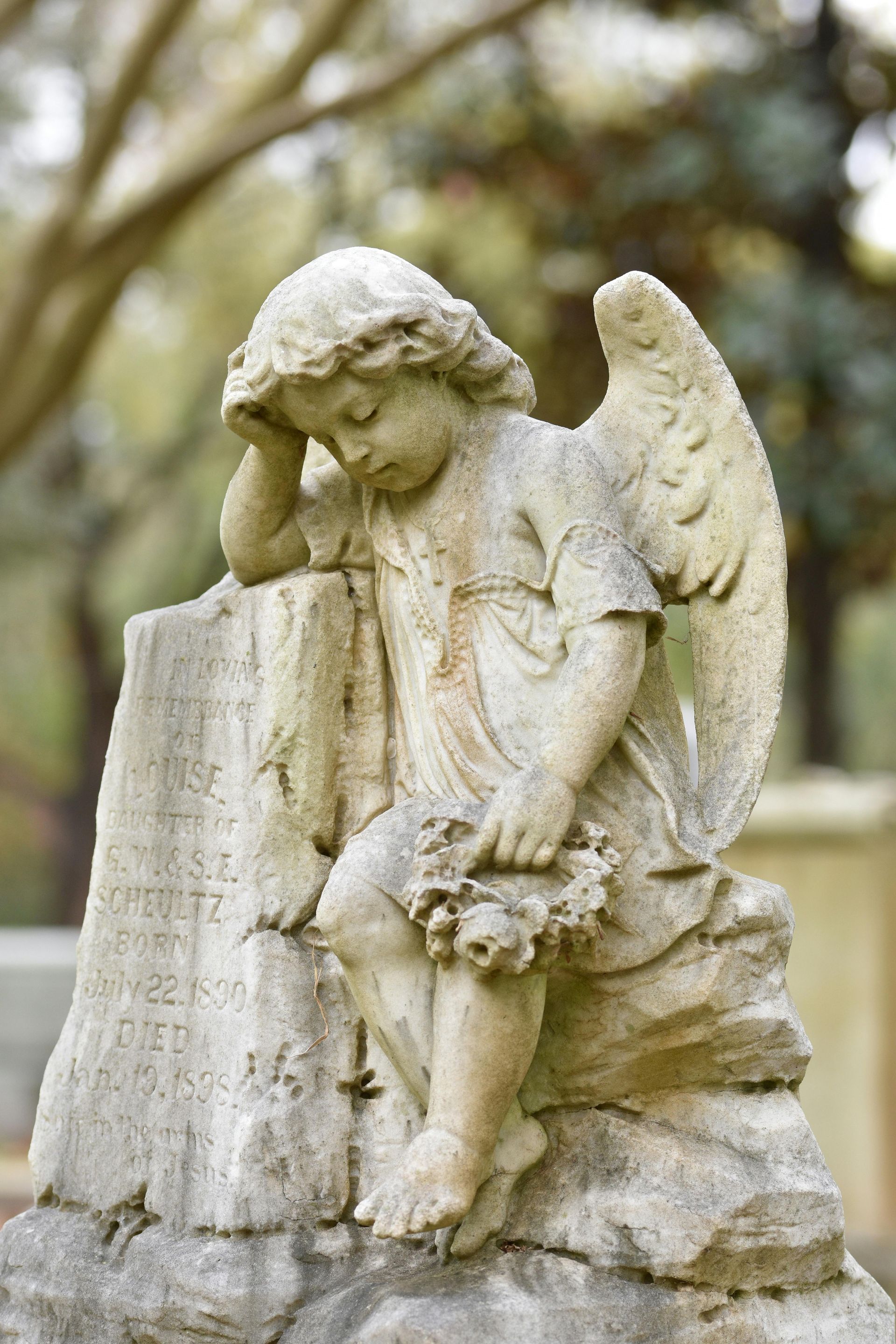 Reflection: Hope Beyond Certainty