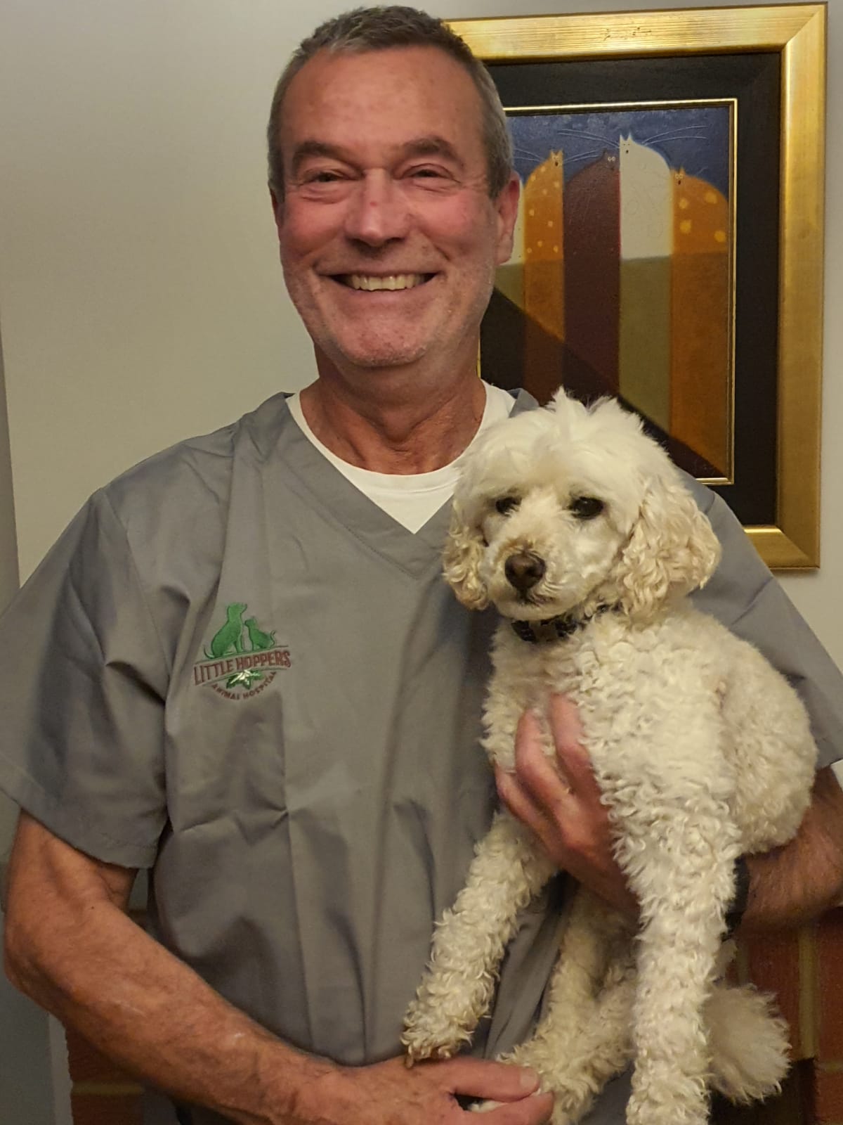 Veterinary surgeons | Little Hoppers Vets