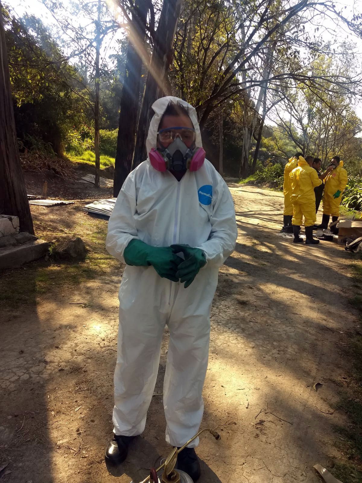 Fumigación, eliminación y control de plagas en CDMX y Tlalnepantla | SAM FUMIGACIONES